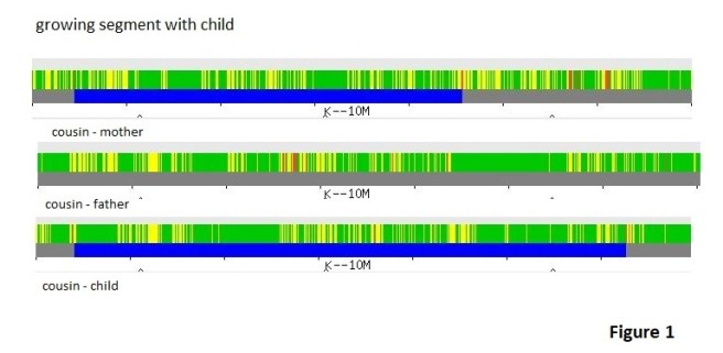 The Misunderstood Short Segment Match – Genetic Genealogy Out of the ...